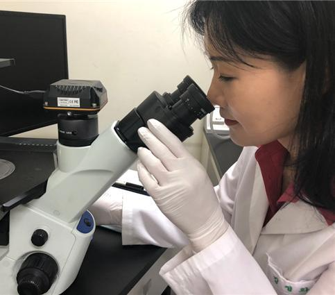 이뮤니스바이오