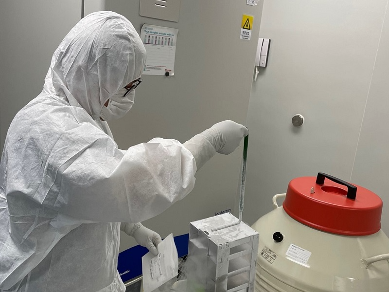 이뮤니스바이오